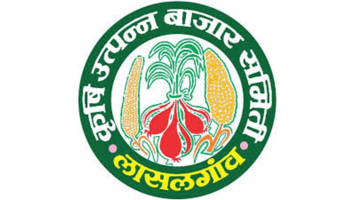APMC Market | लासलगाव बाजार समितीत भुसार, तेलबिया लिलाव पूर्ववत ...