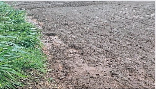 Rain Update । गडहिंग्लज, आजरा तालुक्‍यांत जोरदार पावसाने नुकसान ...