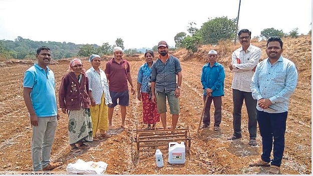 Farming News in Marathi । शून्य मशागत तंत्रातून भात शेती प्रात्यक्षिक ...