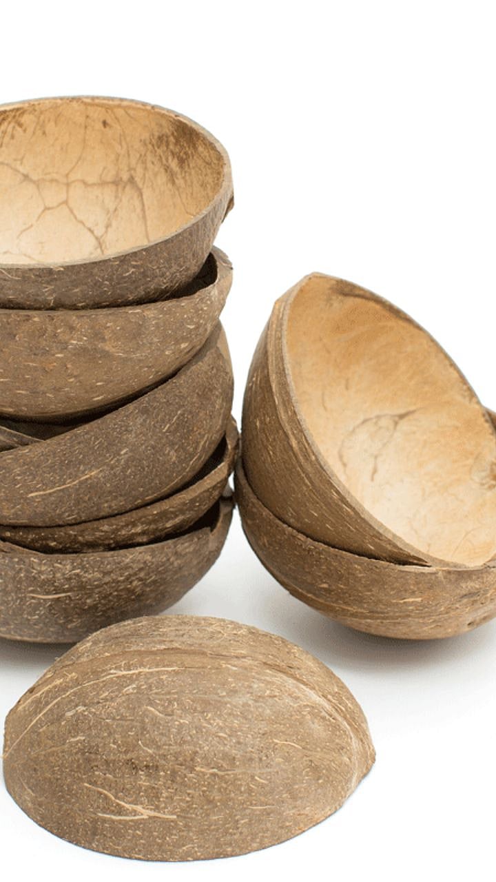 Coconut Shell Ornaments : टाकाऊ नारळ करंवट्या बनू शकतात रोजगाराचं साधन ...
