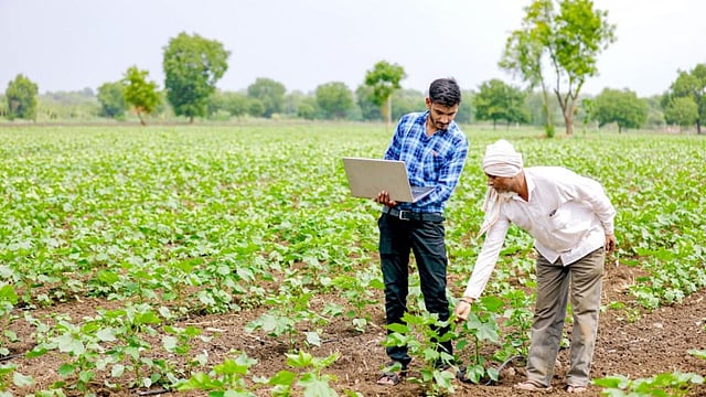 Agrowon - Latest Agriculture News in Marathi | कृषीविषयक बातम्या