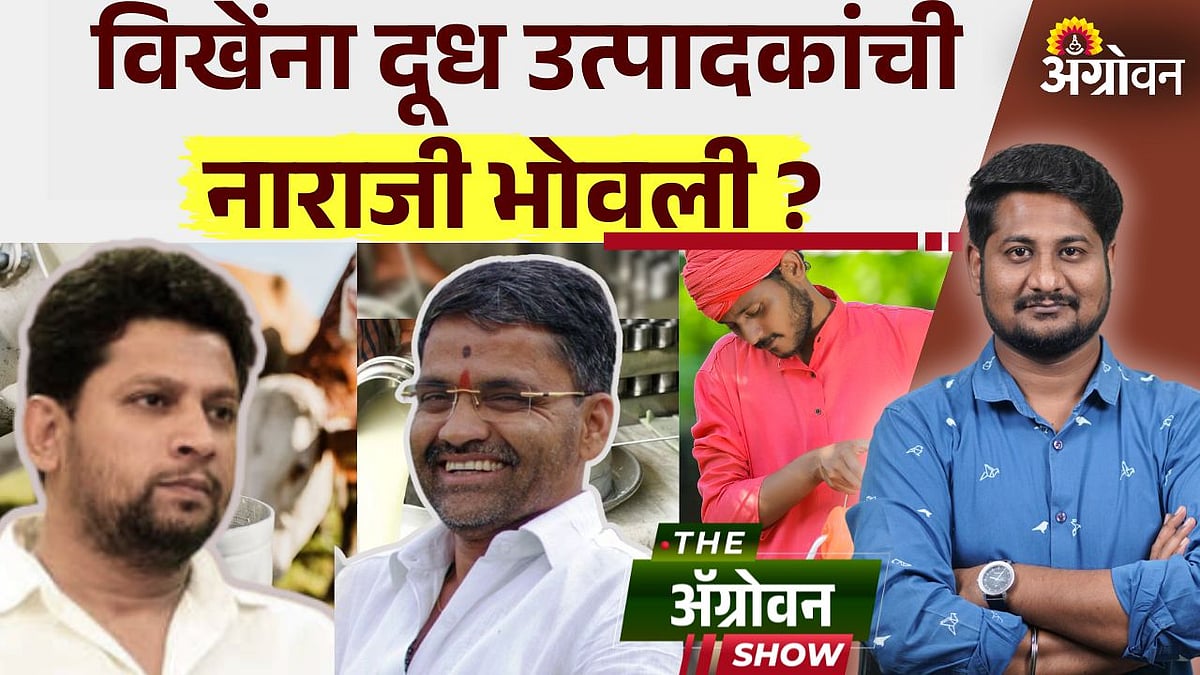 Sujay Vikhe Patil: शेतकऱ्यांमुळे विखे पाटील पराभूत?
