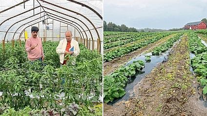 Europe Agriculture | युरोपातील बदलती शेती अन्‌ उद्योग क्षेत्र ...