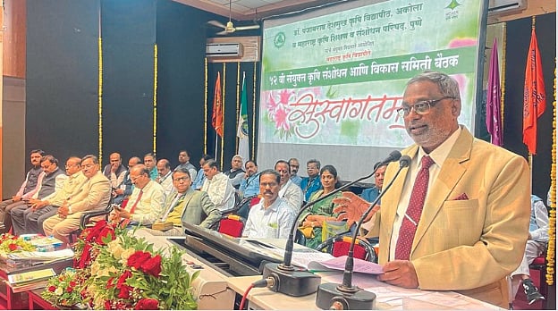 Agriculture Allied Business । शेतीपूरक व्यवसाय, प्रक्रियेची जोड आवश्‍यक ...