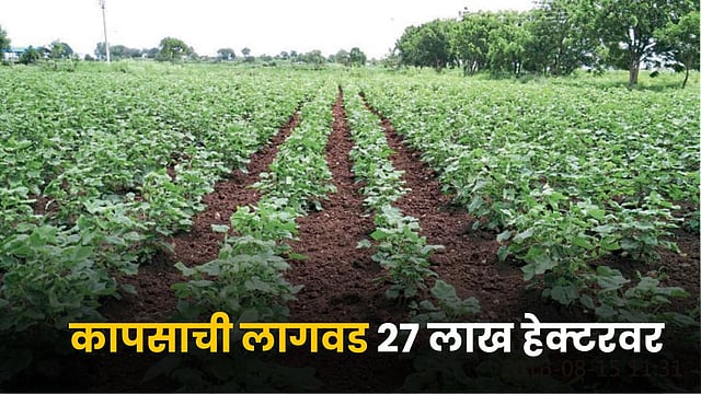Agrowon - Latest Agriculture News in Marathi | कृषीविषयक बातम्या