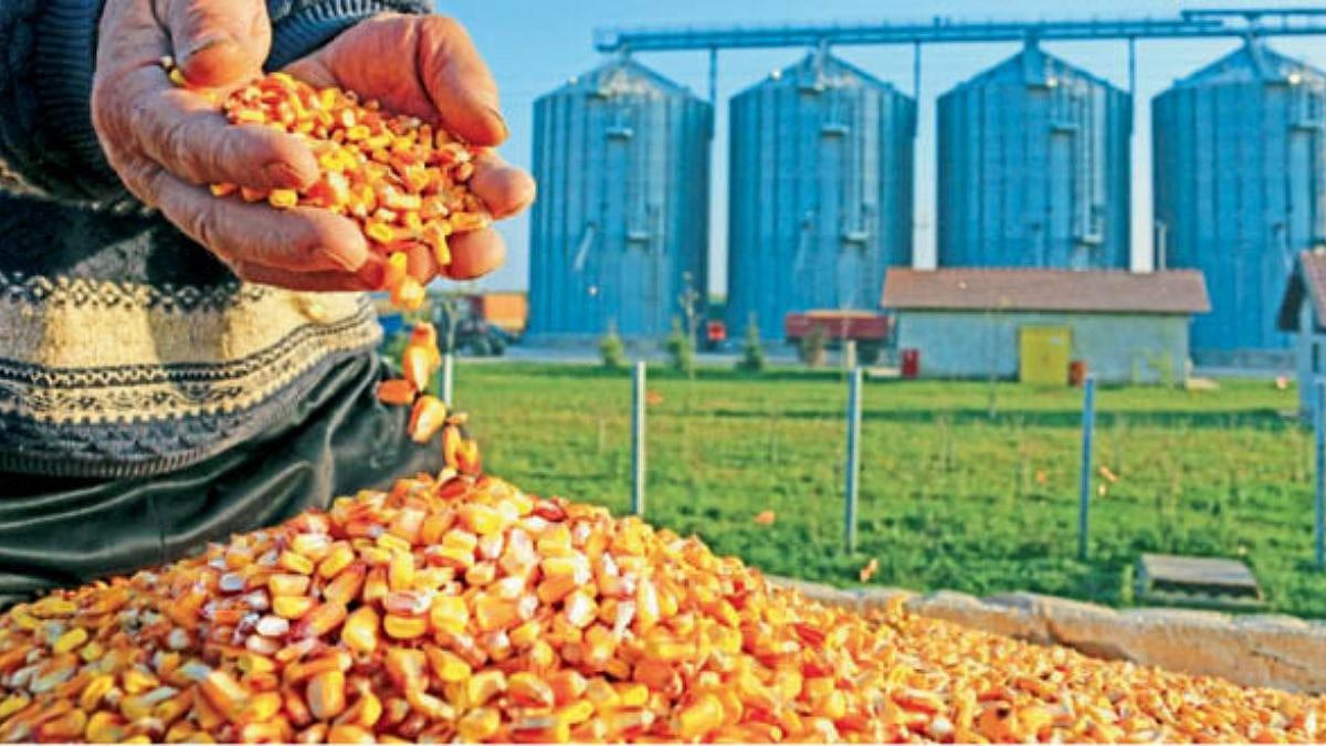 Micro Food Processing | ‘सूक्ष्म अन्न प्रक्रिया’मध्ये नाशिक विभाग प्रथम ...