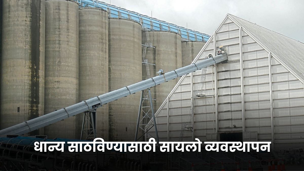 Silo Management | धान्य साठविण्यासाठी सायलो व्यवस्थापन | Management of ...
