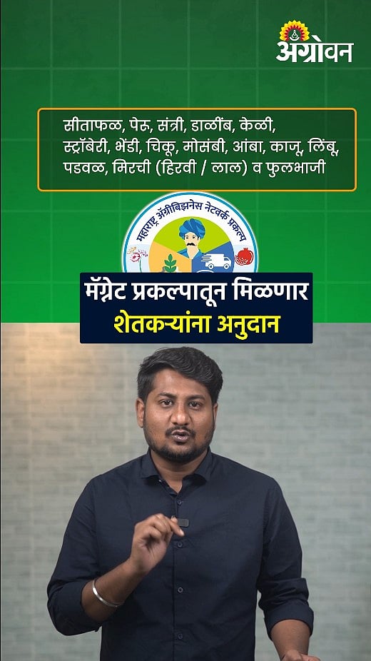 Farmer Scheme: 'मॅग्नेट' प्रकल्पातून शेतकऱ्यांना आर्थिक मदत मिळणार