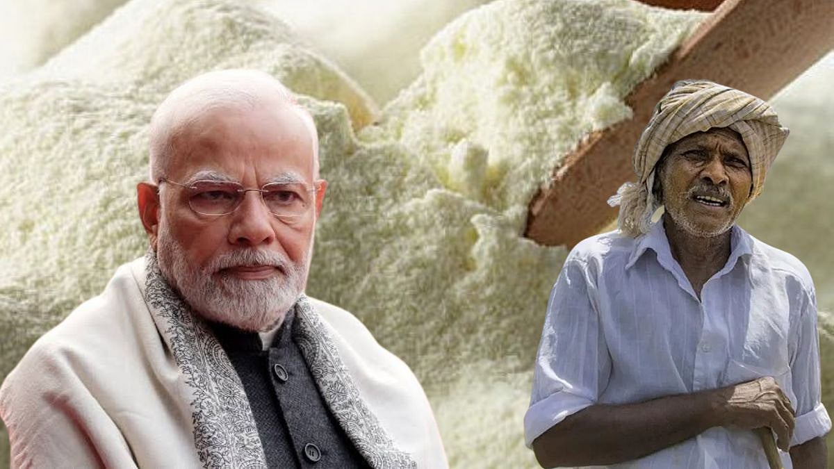 Milk Powder : धोरण केंद्राचं मरण शेतकऱ्यांचं; दूध संघांमध्ये हजारो टन ...