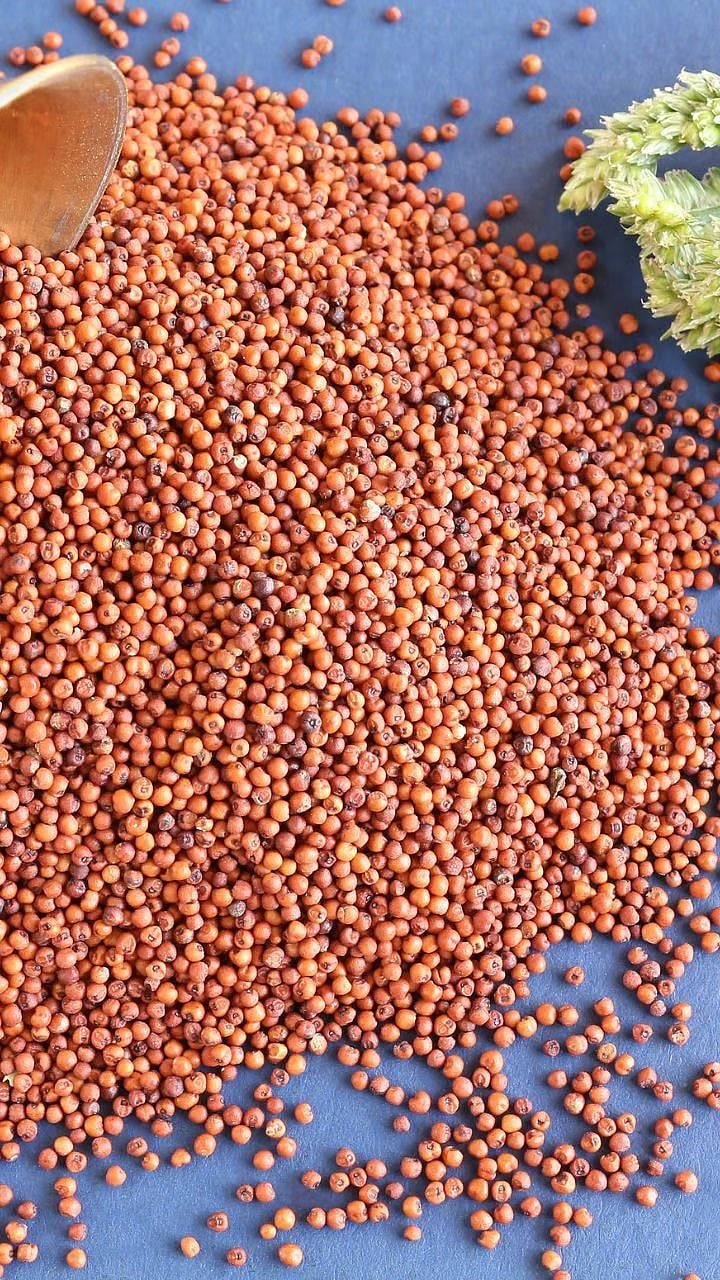 Eating Ragi : नाचणीचं महत्व आपल्या शरिरासाठी किती? कसे होतील फायदे ...