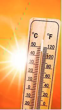 Rising Heat । तापमानाचा पारा का वाढतोय? काय आहेत उष्णता वाढीची कारणे ...