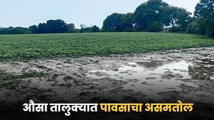 Maharashtra Rain | औसा तालुक्यात पावसाचा असमतोल | Imbalance of rainfall ...
