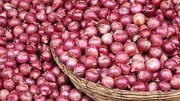 Onion Processing । महिला शेतकऱ्यांनी कांदा प्रक्रियेतून संधी निर्माण ...