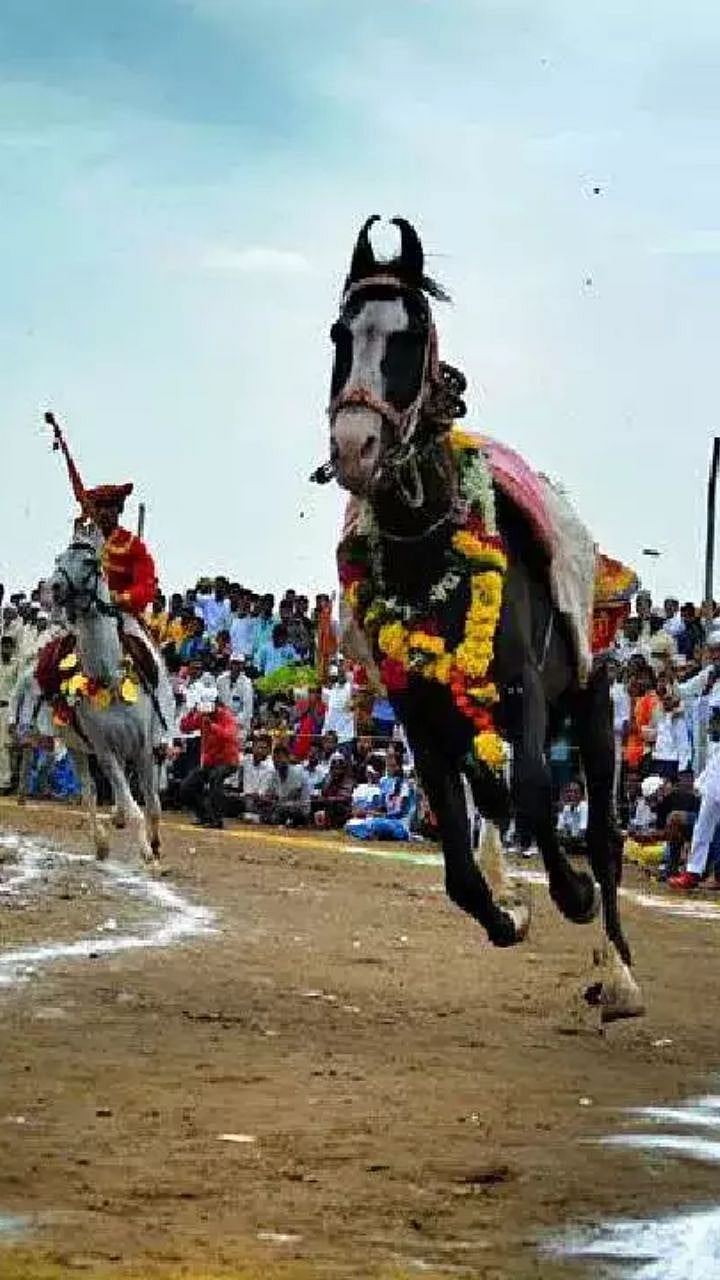 Ashadhi Wari 2024 |राजकारणातील पंढरी, वारीत दंग; पवार कुटुबियांनी लावली ...