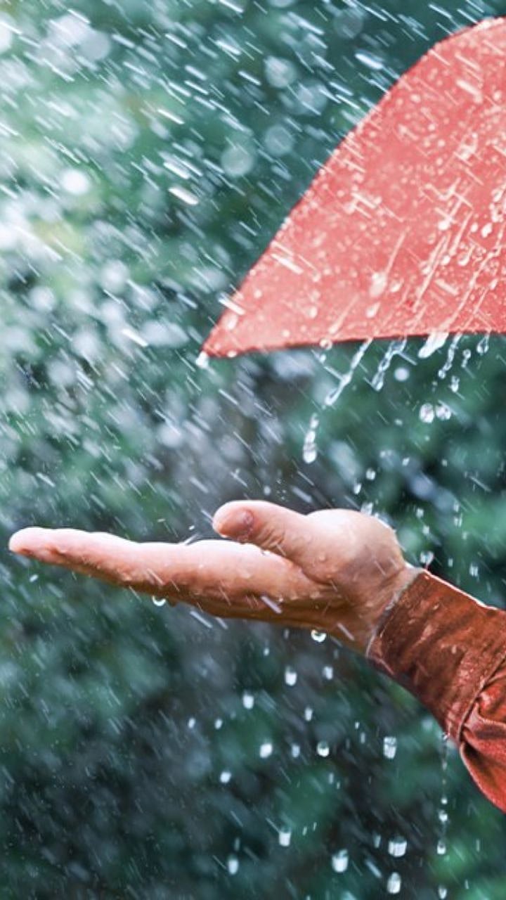 bath in rain water|पावसात भिजण्याचे आहेत आश्चर्यकारक फायदे; पाहा ...