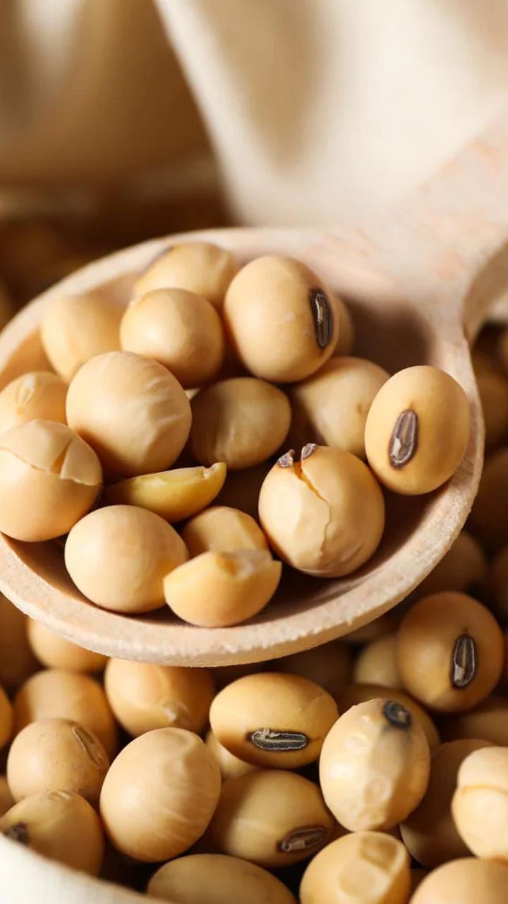 Eating Soybeans : दररोज एक मुठ सोयाबीन खा अन् तंदुरूस्त शरीर|Health ...