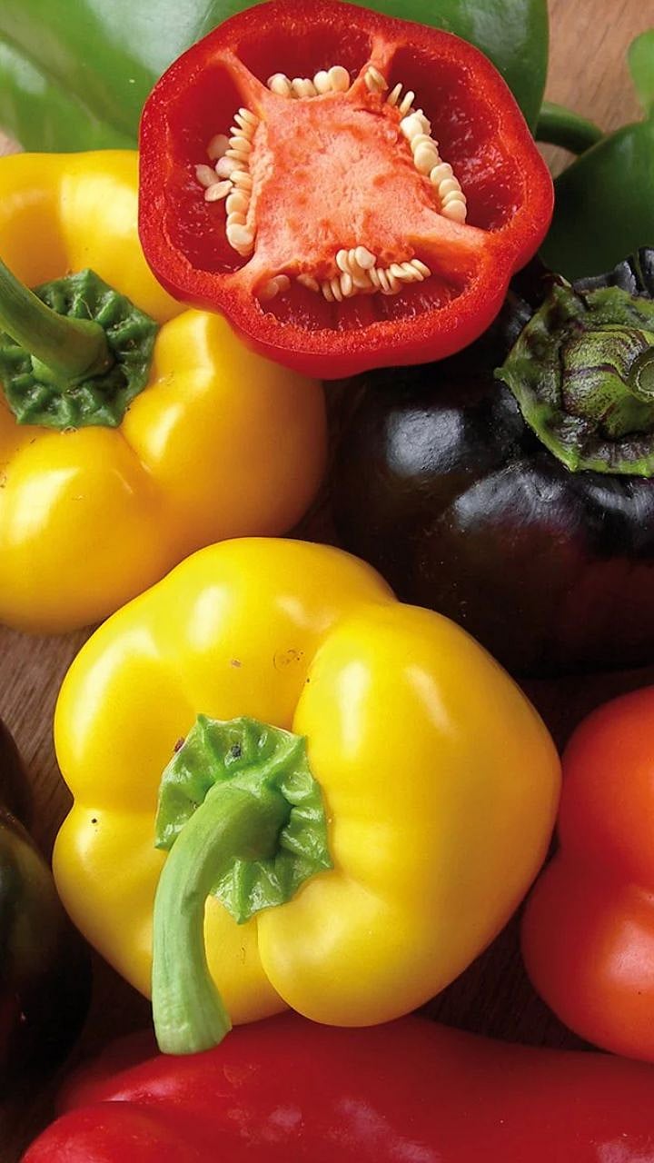 Capsicum|शिमला मिरची नाही खाली तर मग... पाहा फायदे...|Capsicum has ...