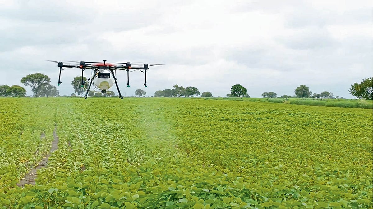 Nano DAP : नॅनो डीएपी, ड्रोन तंत्रज्ञानाचा वापर|Nano DAP, using drone ...