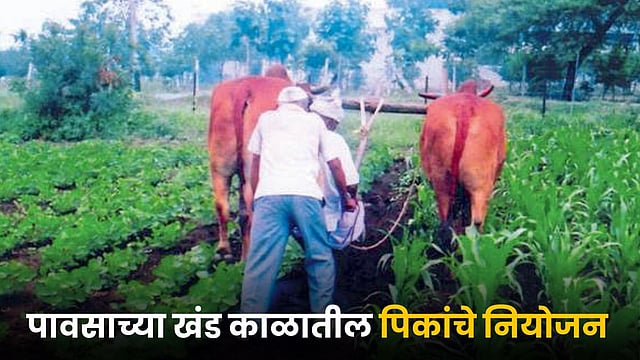 Agrowon - Latest Agriculture News in Marathi | कृषीविषयक बातम्या