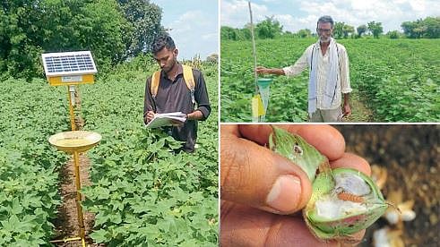 Agrowon - Latest Agriculture News in Marathi | कृषीविषयक बातम्या