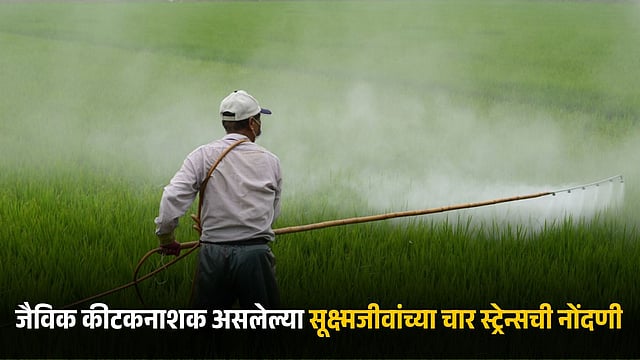 Agrowon - Latest Agriculture News in Marathi | कृषीविषयक बातम्या