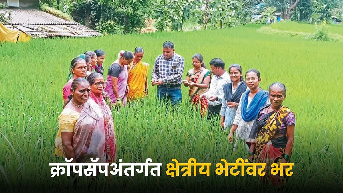 Agricultural Program | क्रॉपसॅपअंतर्गत क्षेत्रीय भेटींवर भर | Focus on ...