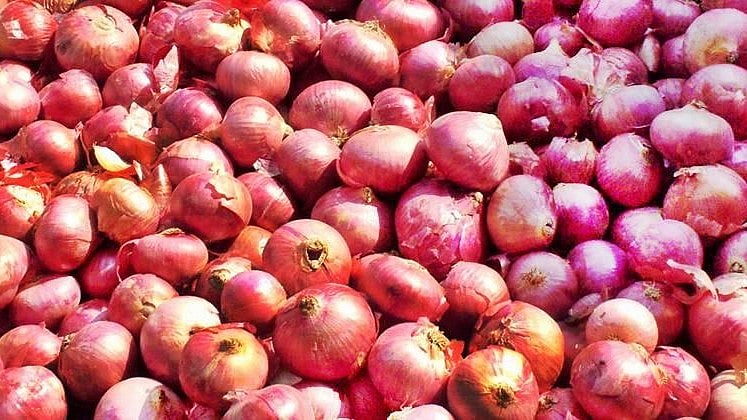 Onion Market | बफर स्टॉकमधील कांदा ‘नाफेड’ने बाजारात आणू नये | NAFED ...