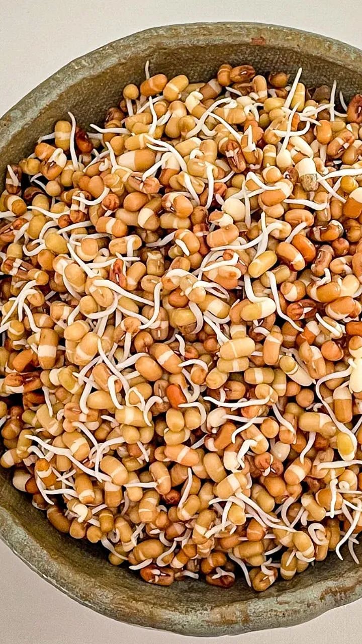 Matki Health Benefits : मोड आलेली मटकी आहे सुपर फूड ; आहारातून जरुर ...