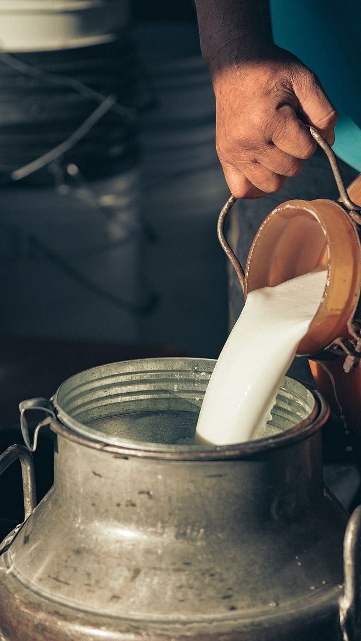 Milk Processing : दुधाचे पदार्थ बनविण्यापुर्वी तपासा दुधाची प्रत ...