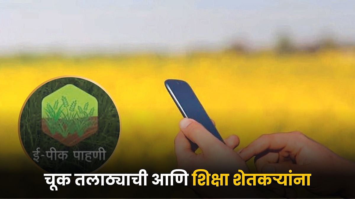 E Crop Survey | चूक तलाठ्याची आणि शिक्षा शेतकऱ्यांना | The mistake is ...