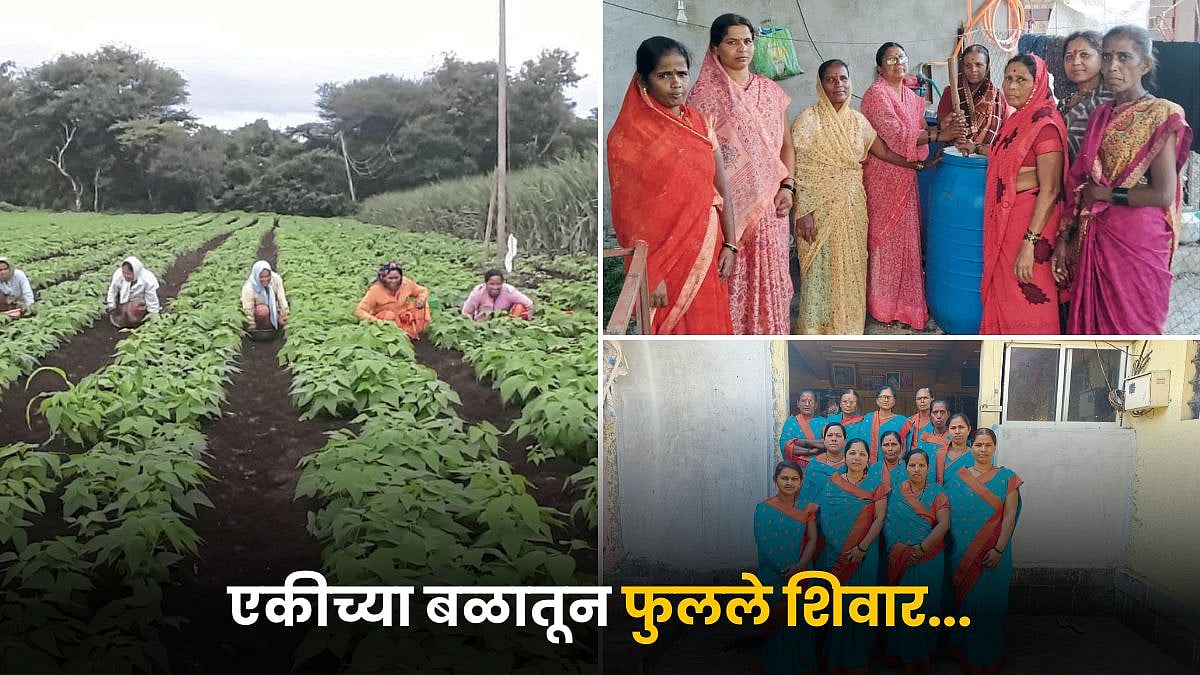 Agriculture Success Story | एकीच्या बळातून फुलले शिवार... | A field ...