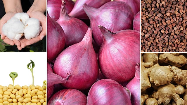 Agrowon - Latest Agriculture News in Marathi | कृषीविषयक बातम्या