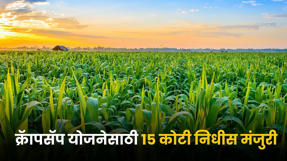 CROPSAP | क्रॅापसॅप योजनेसाठी १५ कोटी रुपयांच्या निधीस मंजुरी | 15 ...