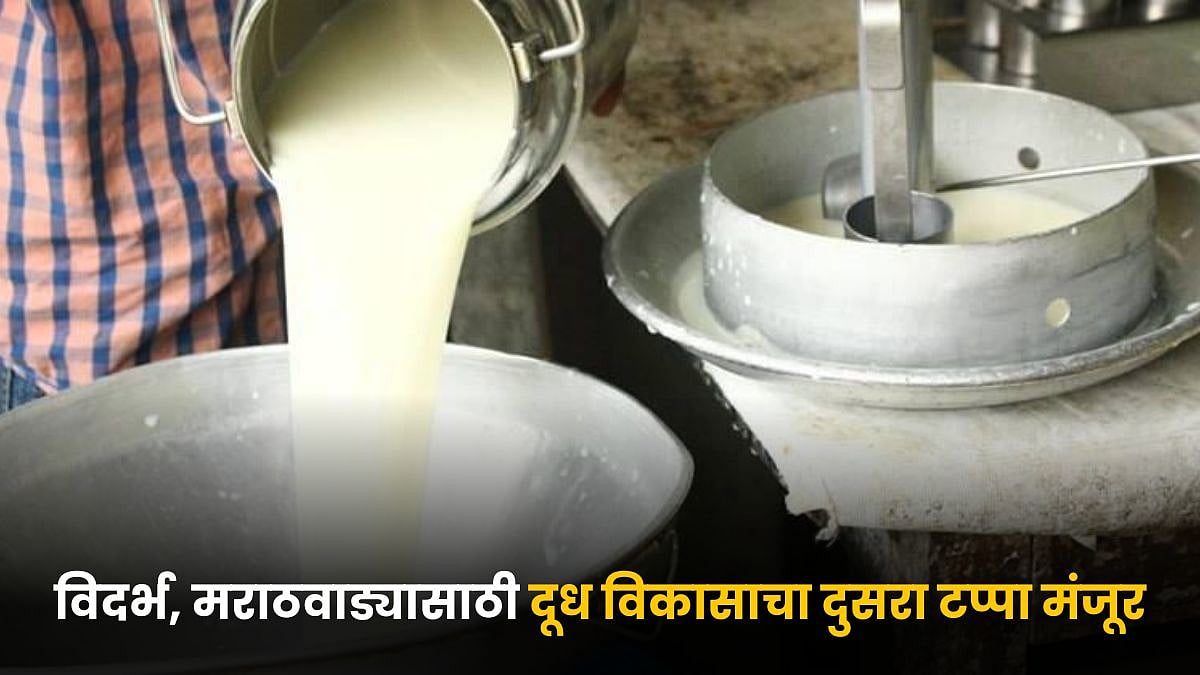 Dairy Development Project | विदर्भ, मराठवाड्यासाठी दूध विकासाचा दुसरा ...