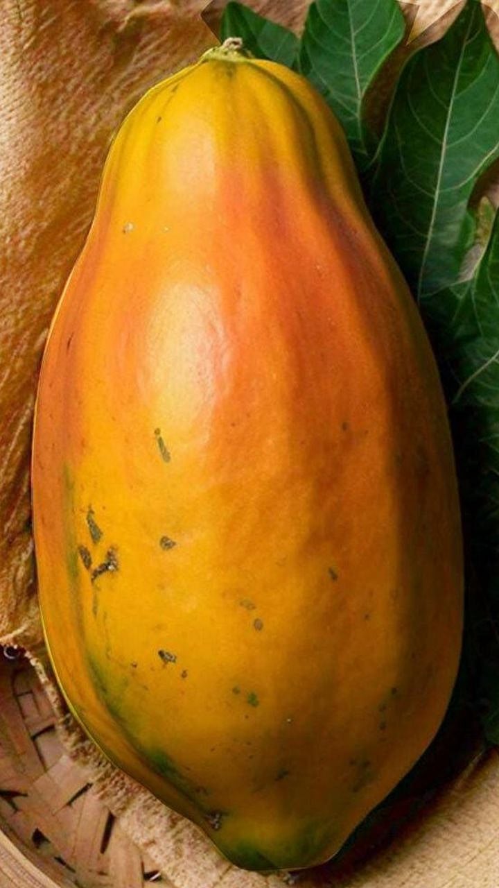 Papaya Benefits : रोज सकाळी रिकाम्या पोटी पपई खाण्याचे फायदे|Benefits ...
