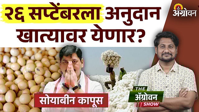 Agrowon - Latest Agriculture News in Marathi | कृषीविषयक बातम्या