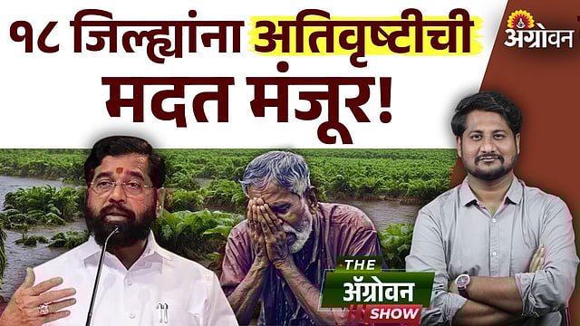 Agrowon - Latest Agriculture News in Marathi | कृषीविषयक बातम्या