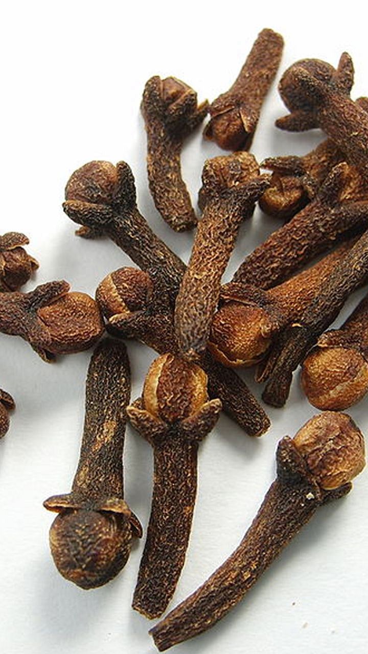 Cloves Water : दररोज १० दिवस पाण्यात लवंग टाकून पिल्यास काय होईल ...