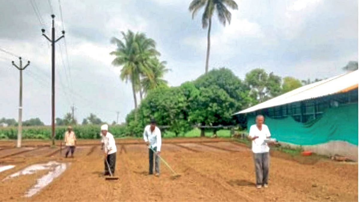 Onion Cultivation । रब्बी कांदा लागवडीसाठी रोपे निर्मितीची लगबग ...