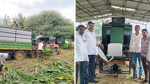 Agrowon - Latest Agriculture News in Marathi | कृषीविषयक बातम्या