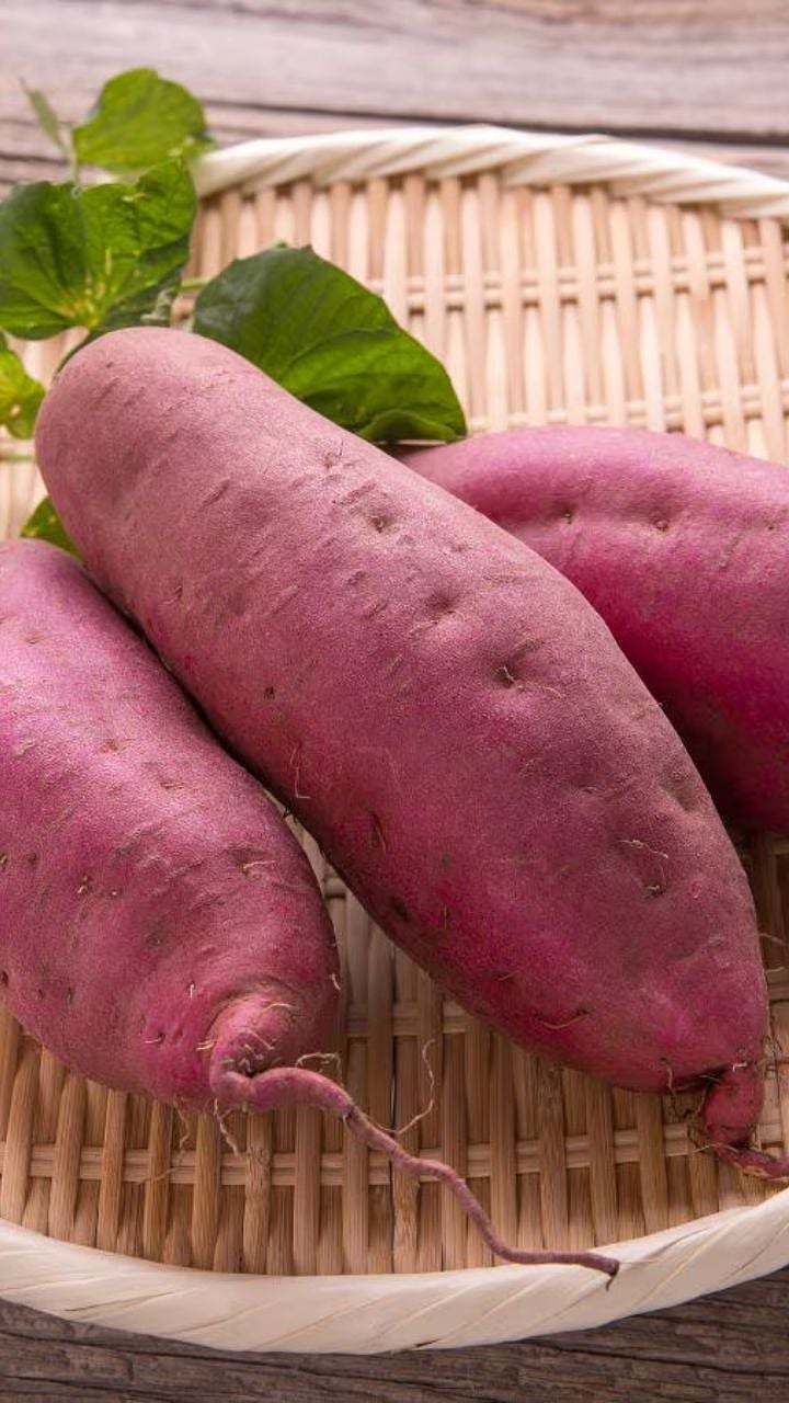 Red Ratal : रताळ खाण्याचे ५ आरोग्यदायी फायदे|5 Health Benefits of ...