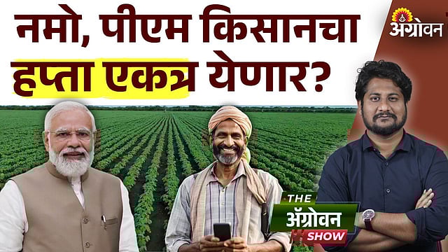 Agrowon - Latest Agriculture News in Marathi | कृषीविषयक बातम्या