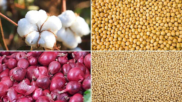 Agrowon - Latest Agriculture News in Marathi | कृषीविषयक बातम्या