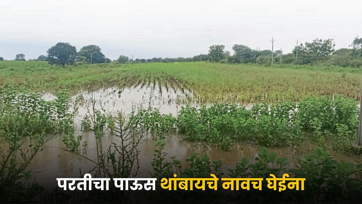 Retreating Monsoon | परतीचा पाऊस थांबायचे नावच घेईना | The retreating ...