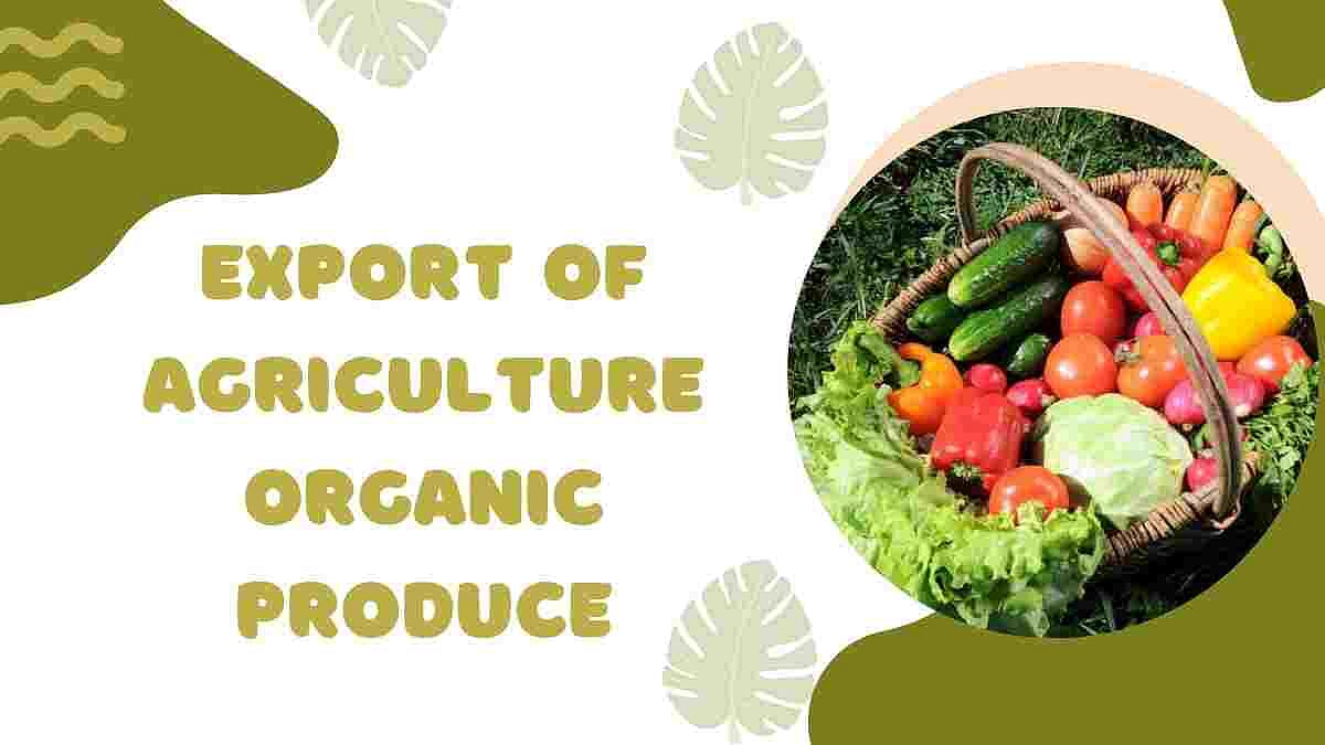 Export of Agriculture Organic Produce | पारदर्शकतेतूनच वाढेल सेंद्रिय ...