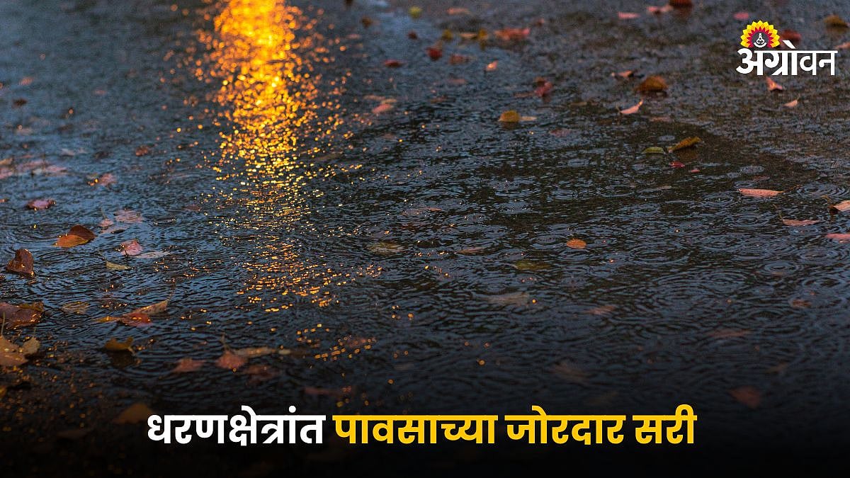 Pune Rain | धरणक्षेत्रांत पावसाच्या जोरदार सरी | Rain Showers in the ...