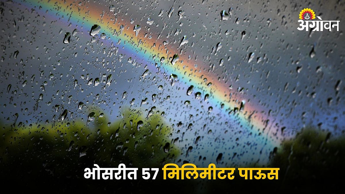 Pune Rain Alert | भोसरीत ५७ मिलिमीटर पाऊस | 57 millimeters of rain in ...