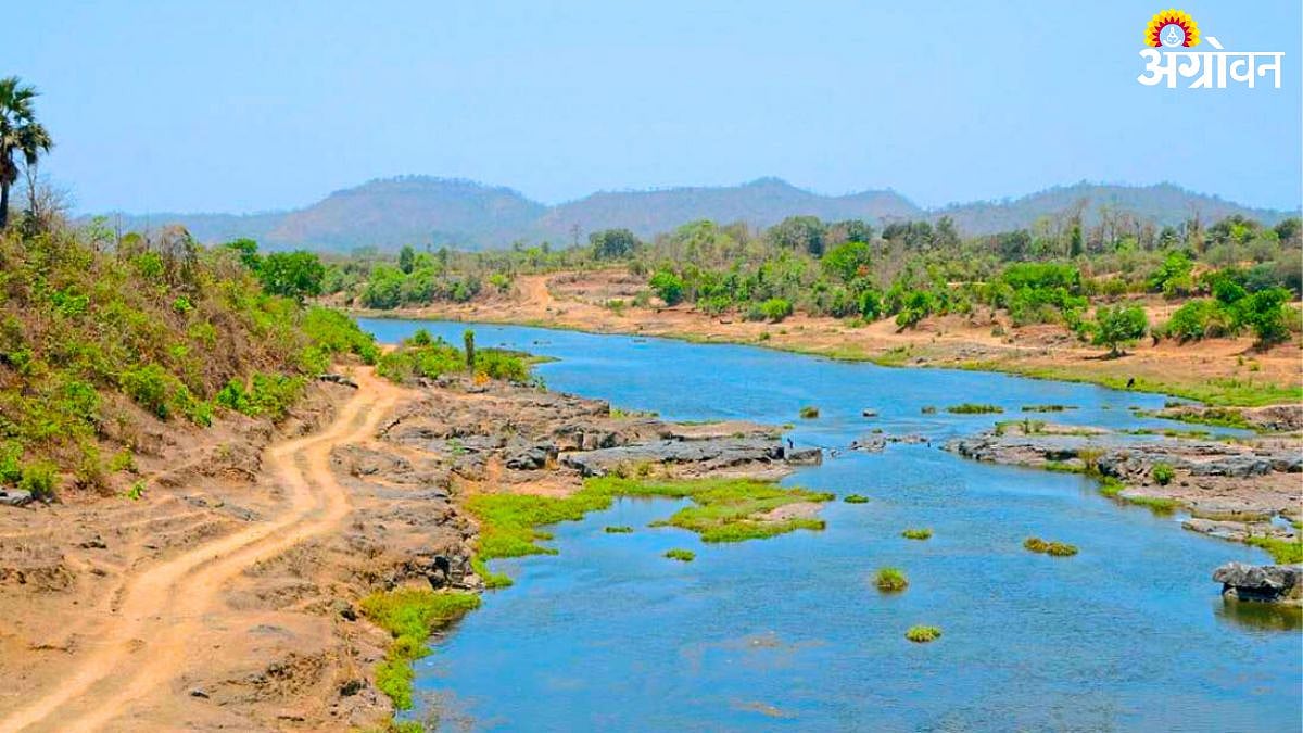 River Conservation । नदी माझी आहे, मी नदीचा पालक । River Water ...