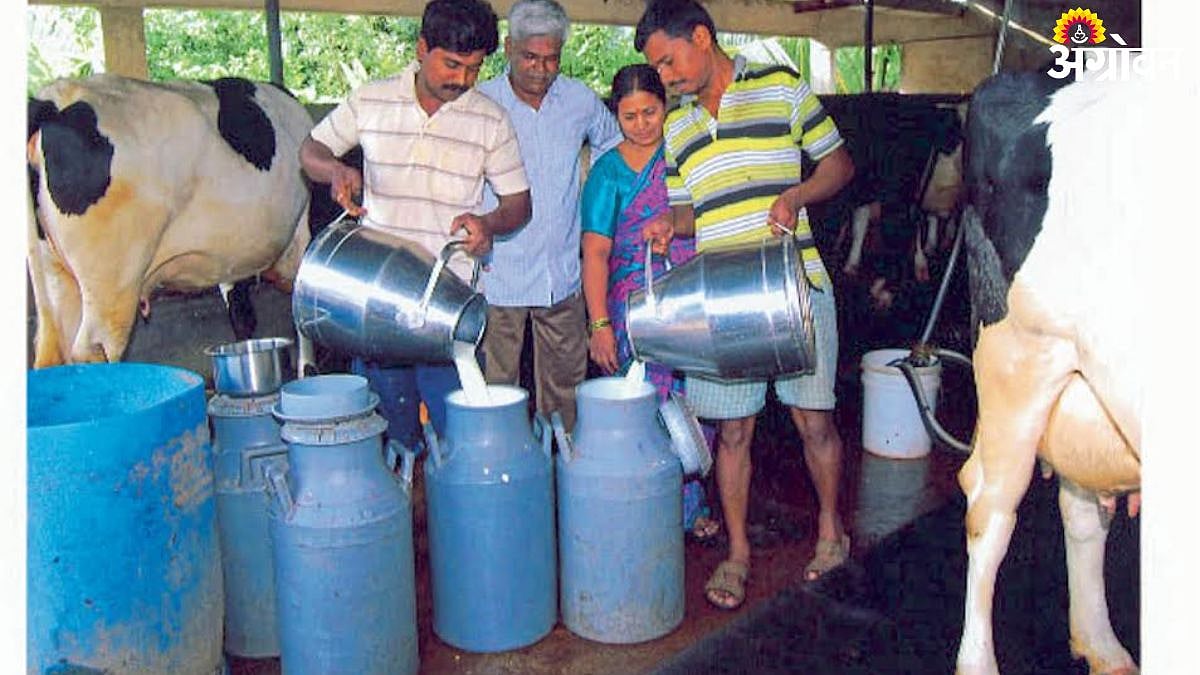 Milk Revolution । दुग्ध संस्थांच्या बळकटीसाठी श्वेतक्रांती २.० । Milk ...
