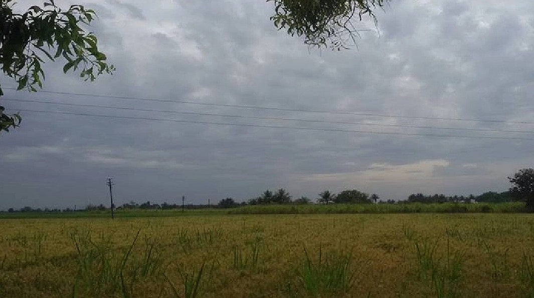Kolhapur weather Forecast : कोल्हापुरात लहरी हवामानाचा शेती पिकासह ...
